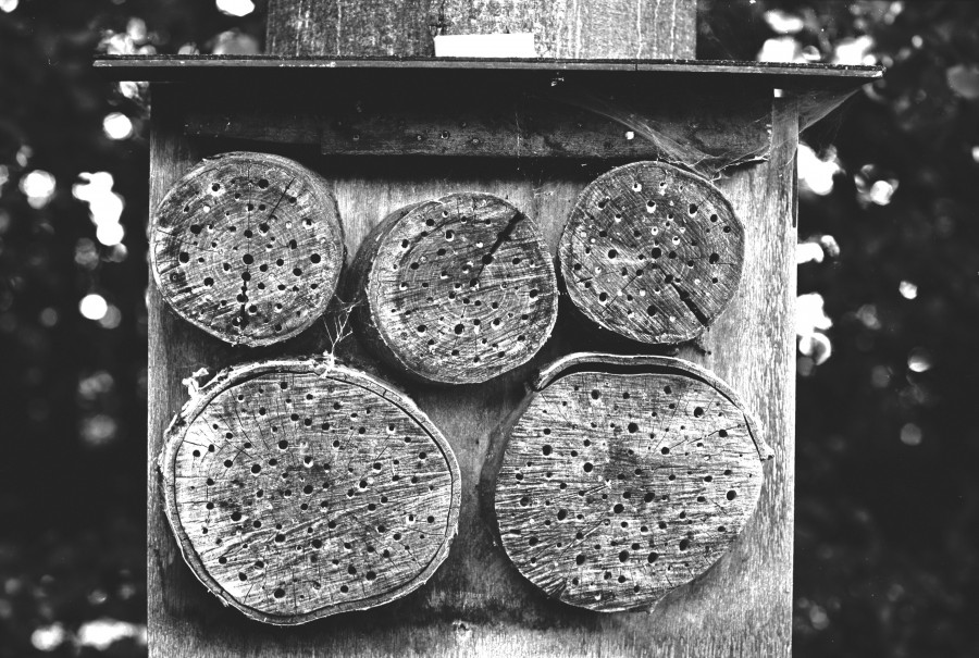 SPUR-Orthopan-UR-in-Nanospeed-SL-135-1 – SPUR Photo